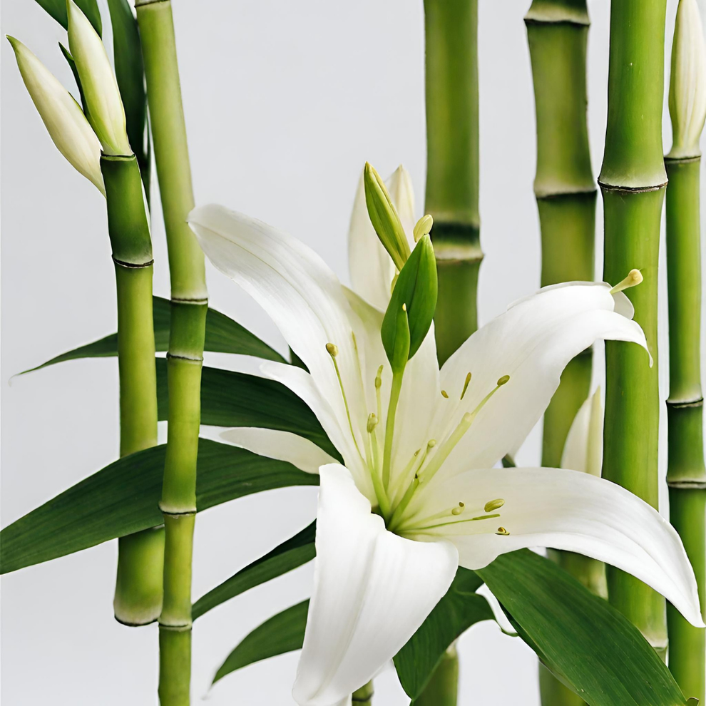 Bamboo & White Lily – Candle Collective
