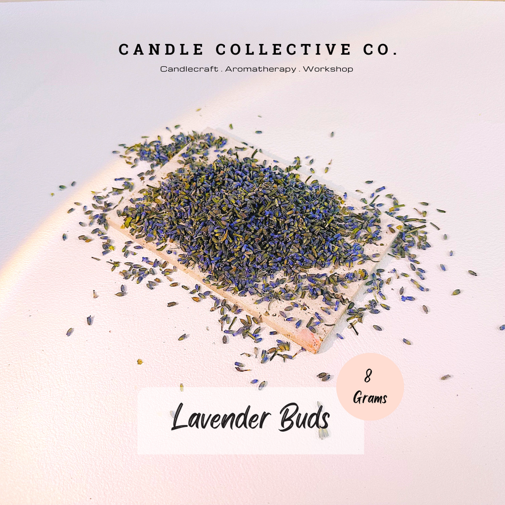 Lavender Buds – Candle Collective